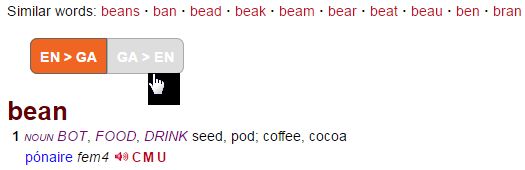 Ceisteanna Coitianta - An Foclóir Nua Béarla-Gaeilge le Foras na Gaeilge